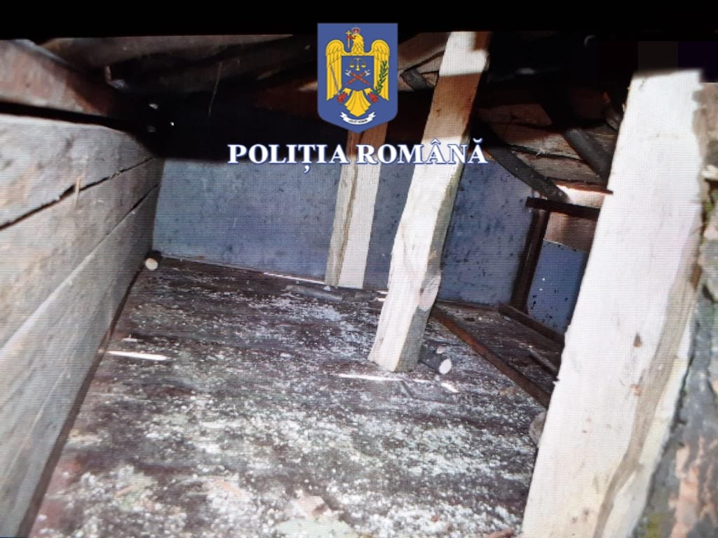 Transporta ilegal lemne în comuna Oboga. Polițiștii au identificat un ...