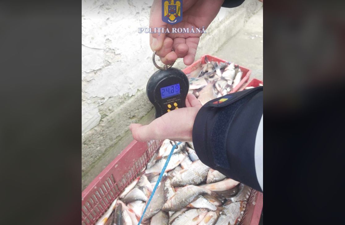 Polițiștii de la Transporturi Olt, descindere la un bărbat din ...